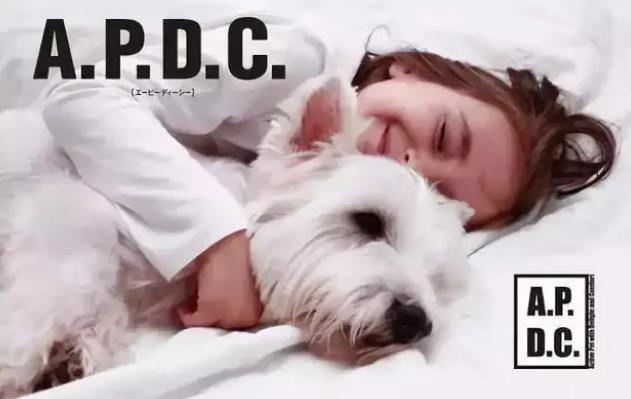 apdc宠物是什么公司的-宠物网