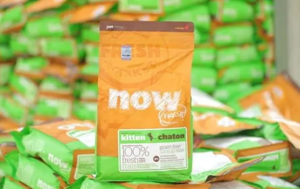 NOW FRESH对上海猫岛发起公益捐赠，为流浪猫送上暖冬礼-宠物网