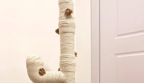 ZEZE品牌介绍-宠物网