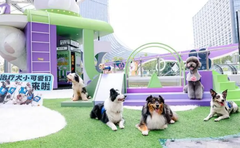 萌友智能ROPET AI宠物多少钱-萌友智能ROPET上线了么-萌友智能ROPET机器人它的本体是什么