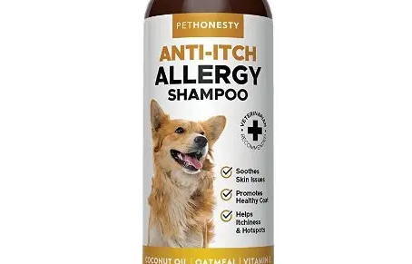 Pet Honesty宠物用品：真诚与品质的结合-宠物网