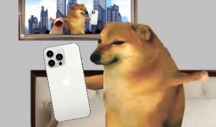 pop猫和cheems狗-宠物网