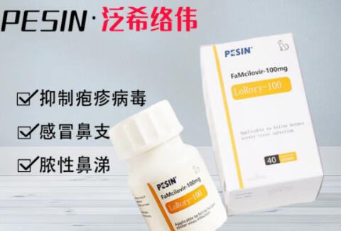 pesin猫鼻支治疗效果好吗-宠物网